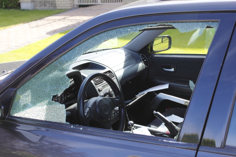 Product Spotlight: 3M FX Premium Window Film